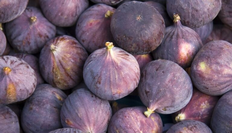 Saison Des Figues : 5 Secrets Puissants Pour Bien Profiter