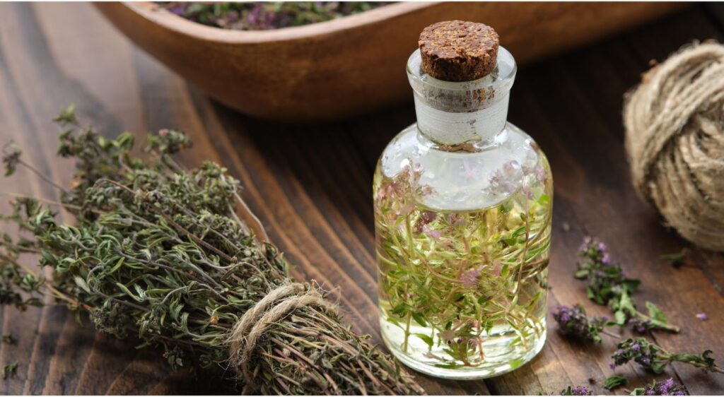 Bienfaits Du Thym : 8 Utilisations étonnantes à Tester