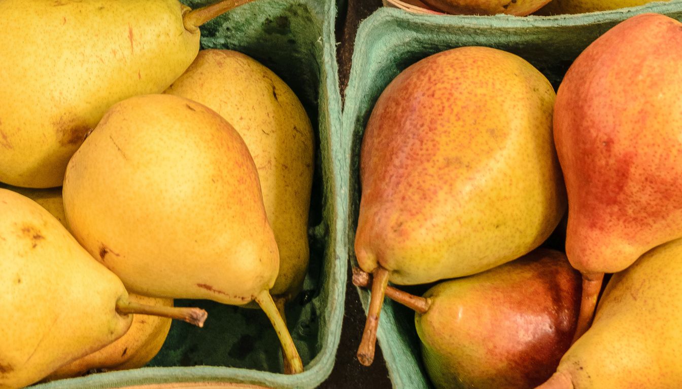Saison Des Poires : Période, Achat, Bienfaits, Conservation