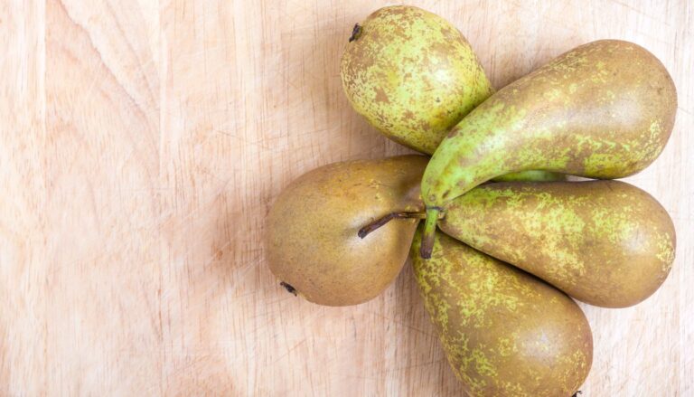 Poire Conférence : Origine, Saison, Bienfaits, Cuisine