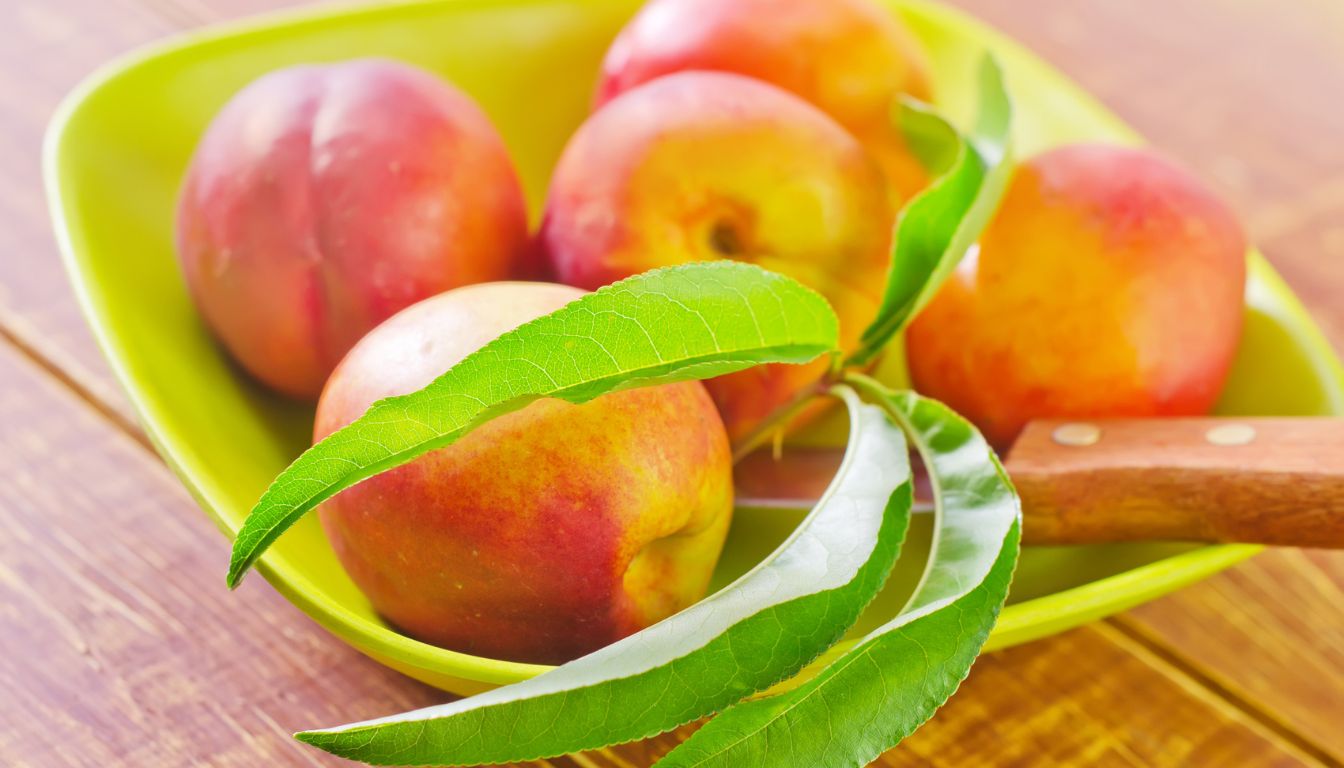 Brugnon : Découvrez Le Fruit Délicieux Et Plein De Bienfaits