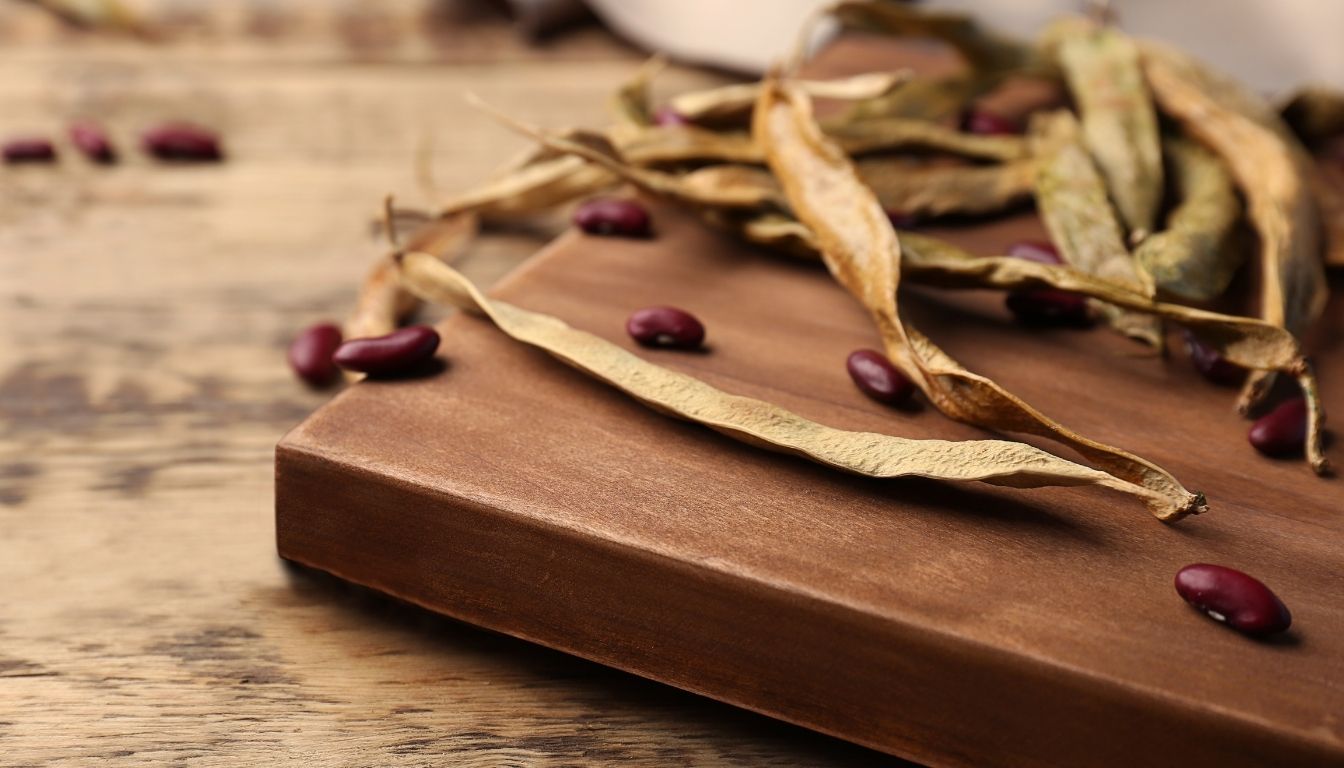 Haricot Rouge : Histoire, Botanique, Variétés, Utilisations