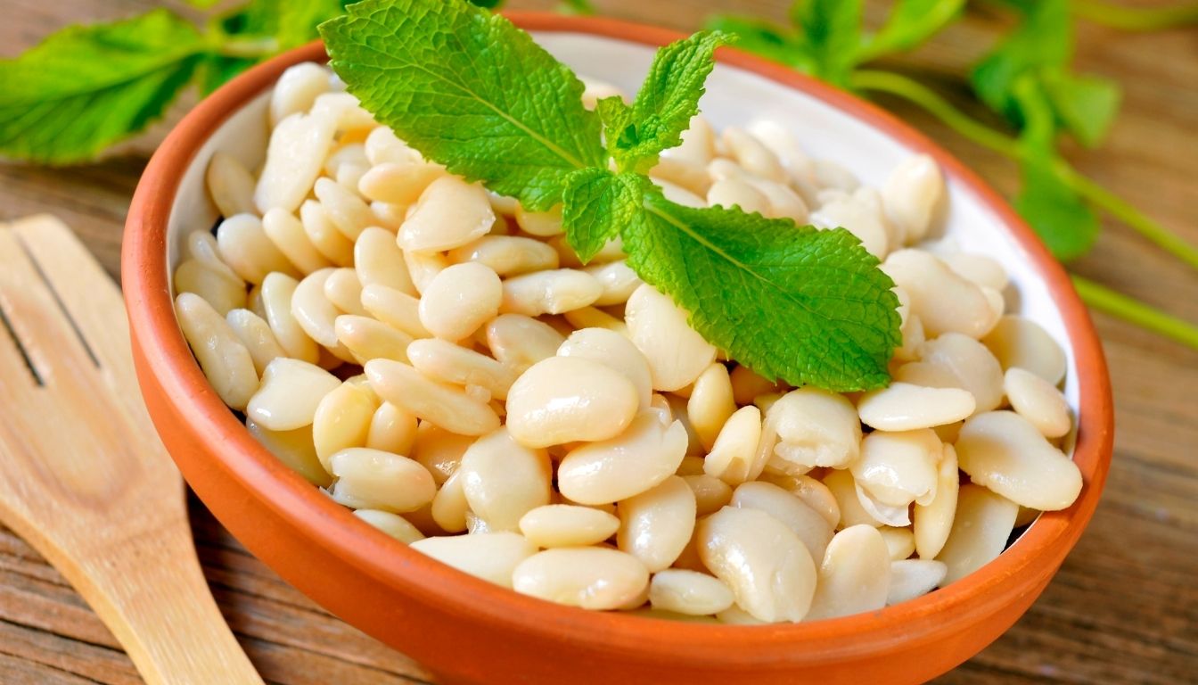 Haricot Blanc : Tout Savoir Sur Cette Légumineuse Blanche