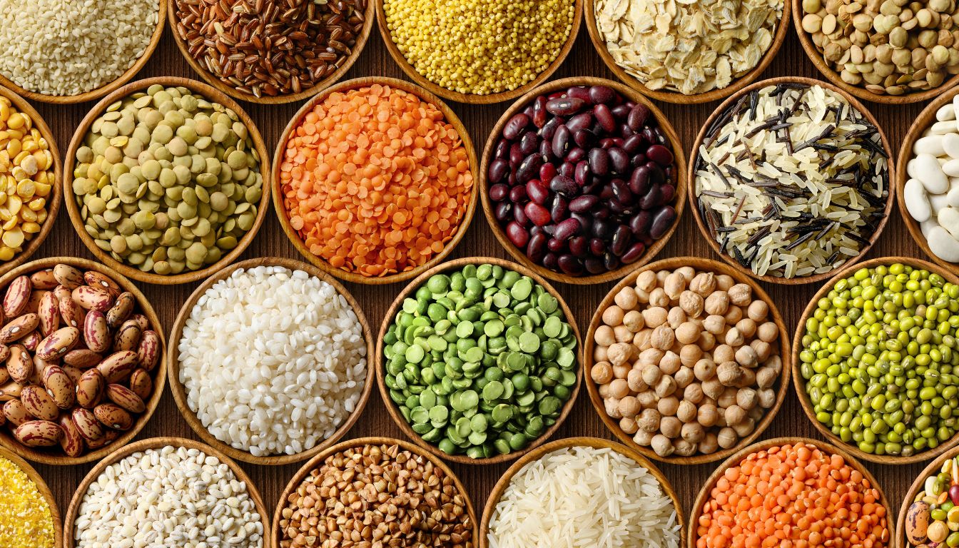 Légumineuses : Espèces, Usages, Bienfaits Santé Et écologie
