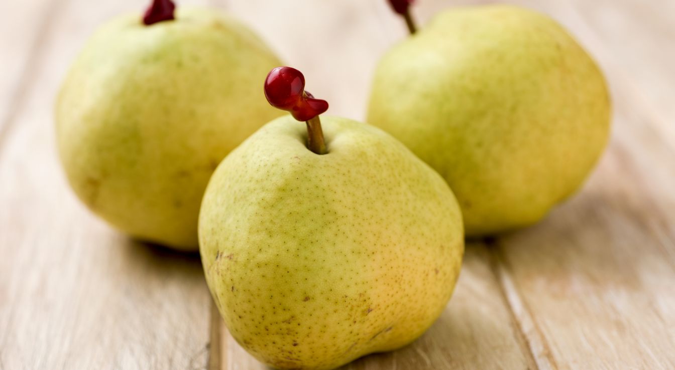 Variétés De Poires : 7 Sortes Incontournables à Connaître