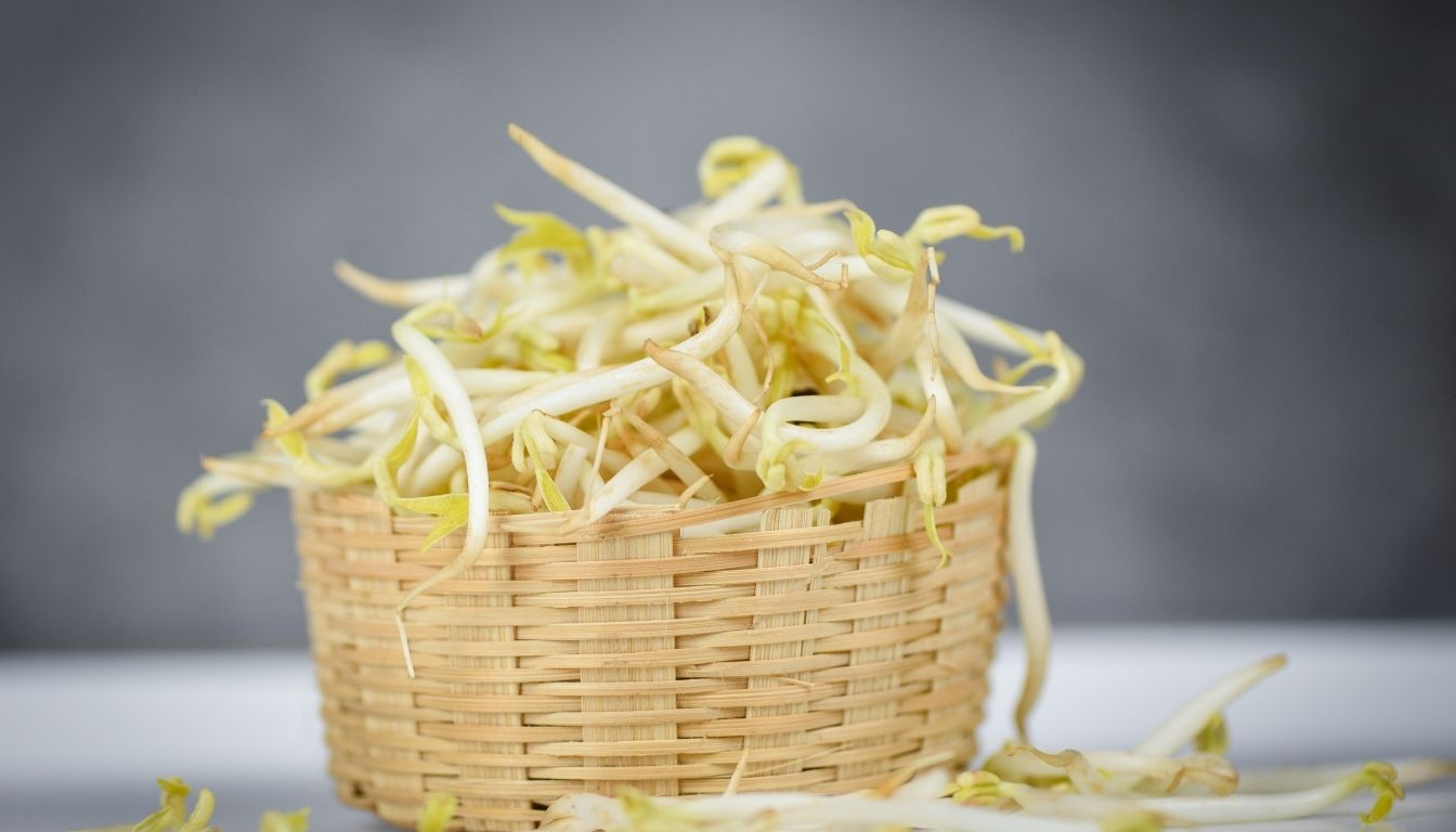 Haricot Mungo : Tout Savoir Sur Son Origine Et Ses Variétés