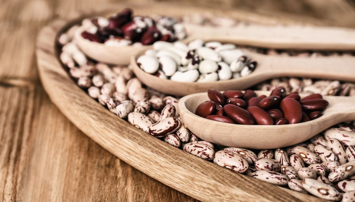 Haricot Rouge : Histoire, Botanique, Variétés, Utilisations