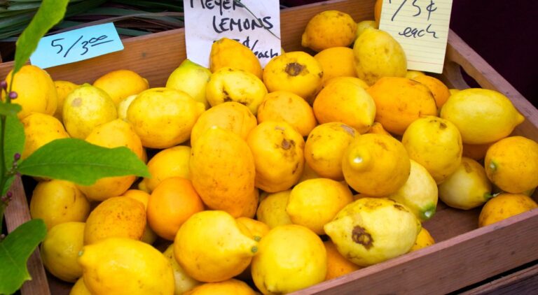 Citron Meyer : Histoire, Variétés Et Usages Essentiels