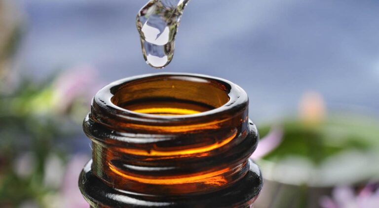 Bourgeon De Romarin : 5 Bienfaits, Usage, Contre-indications